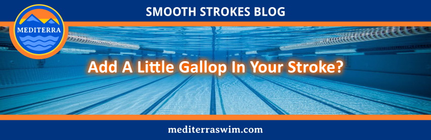 Add A Little Gallop In Your Stroke? | Mediterra Swim